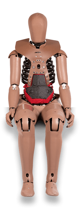 Crash Test Dummies | Car Safety Crash Test Dummy | ANCAP