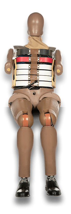 Crash Test Dummies | Car Safety Crash Test Dummy | ANCAP